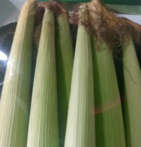 Elote baby por kilo | Moisaner Gourmet Tienda en linea